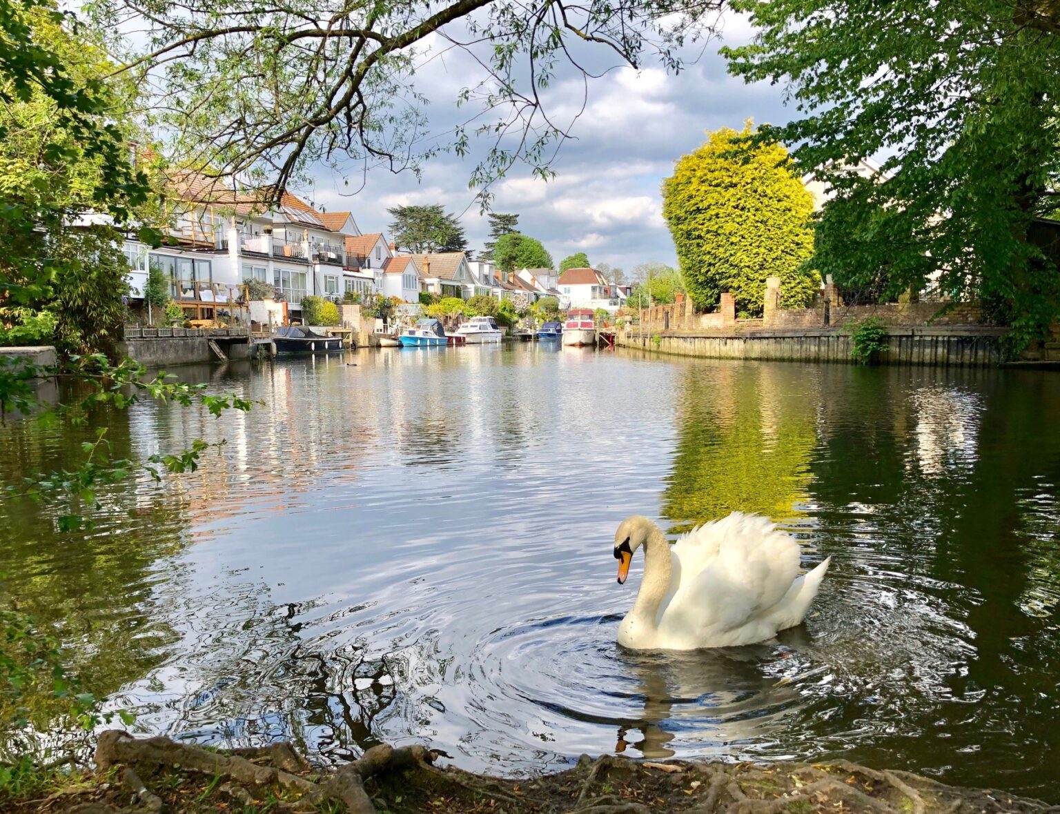 Spelthorne - the Happiest Borough in Surrey - Village Matters