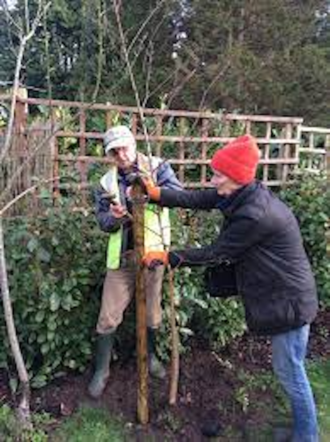 Give the gift of a tree! - Village Matters